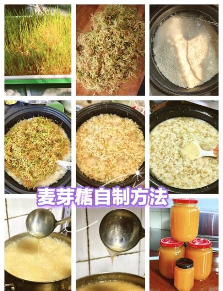 麦芽糖怎么熬不苦_麦芽糖做法窍门-第1张图片-山城妙识