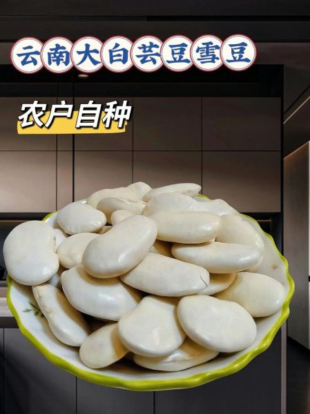 雪豆百科是什么_雪豆百科怎么用-第3张图片-山城妙识 雪豆百科是什么_雪豆百科怎么用-第3张图片-山城妙识