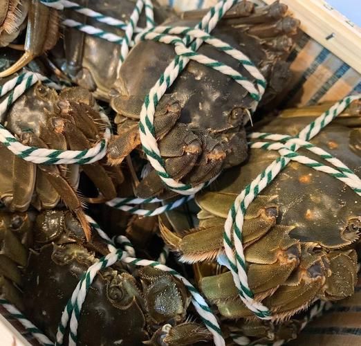 巴城牌阳澄湖大闸蟹怎么选_巴城牌阳澄湖大闸蟹价格-第3张图片-山城妙识