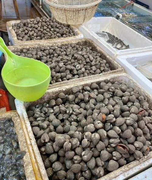 血蛤的功效与作用_血蛤怎么吃最补血-第1张图片-山城妙识