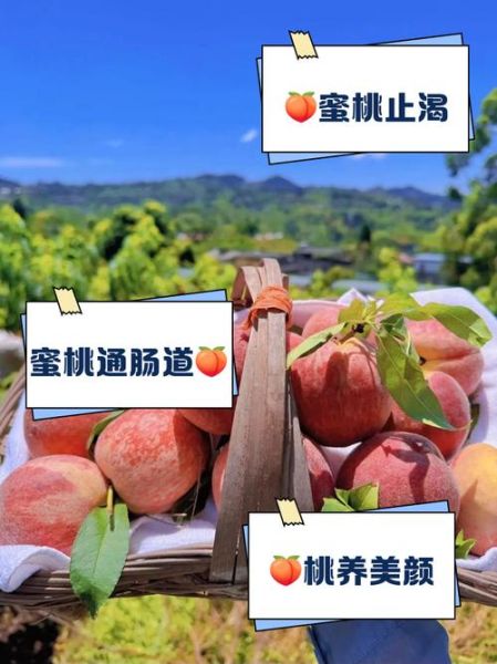 女人吃桃子有什么坏处_女性吃桃子副作用-第3张图片-山城妙识