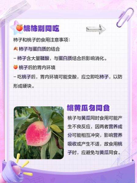女人吃桃子有什么坏处_女性吃桃子副作用-第2张图片-山城妙识