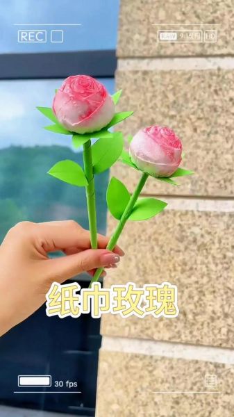 网红卫生纸玫瑰花怎么折_卫生纸玫瑰花折法教程-第2张图片-山城妙识 网红卫生纸玫瑰花怎么折_卫生纸玫瑰花折法教程-第2张图片-山城妙识