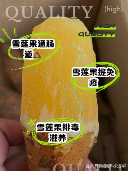 雪莲果的功效与作用_雪莲果的禁忌有哪些-第1张图片-山城妙识