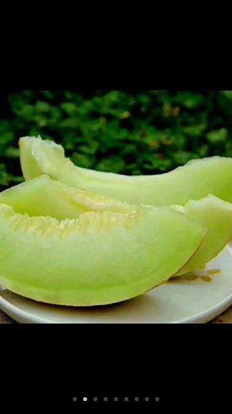 白兰瓜多少钱一斤_白兰瓜价格走势-第3张图片-山城妙识