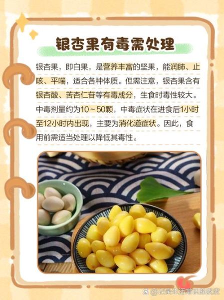 白果怎么处理才能吃_白果去毒的正确方法-第1张图片-山城妙识