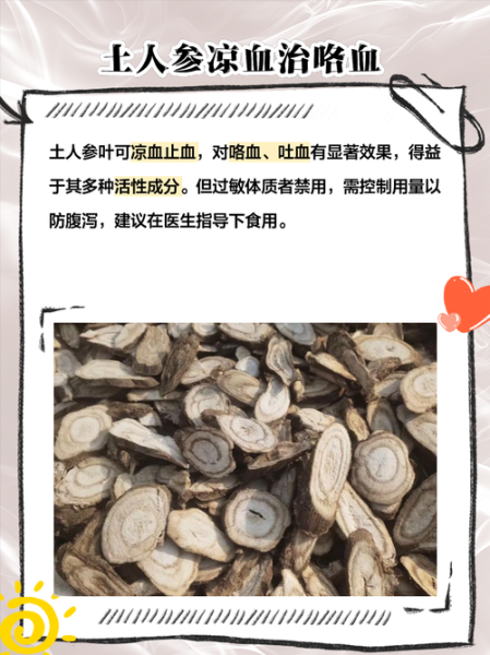 人参叶的功效与作用_人参叶怎么泡水喝-第1张图片-山城妙识