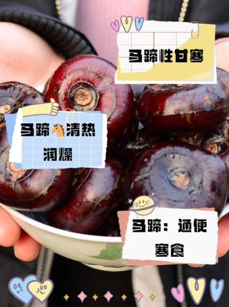 马肉是热性还是凉性_马肉吃了上火吗-第2张图片-山城妙识 马肉是热性还是凉性_马肉吃了上火吗-第2张图片-山城妙识