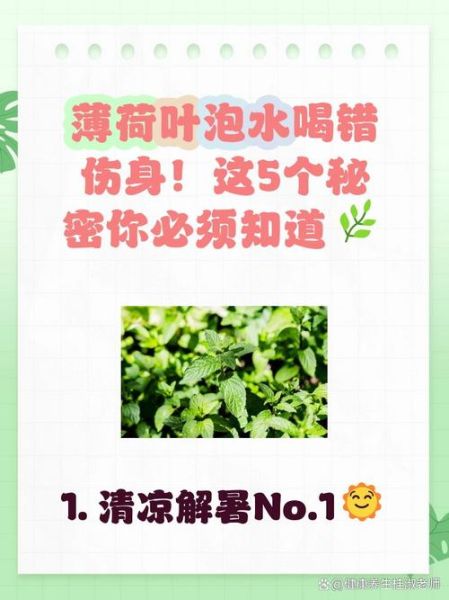 薄荷叶泡水有什么副作用_薄荷叶泡水禁忌人群-第2张图片-山城妙识 薄荷叶泡水有什么副作用_薄荷叶泡水禁忌人群-第2张图片-山城妙识