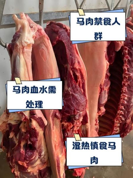 马肉是热性还是凉性_马肉吃了上火吗-第1张图片-山城妙识 马肉是热性还是凉性_马肉吃了上火吗-第1张图片-山城妙识