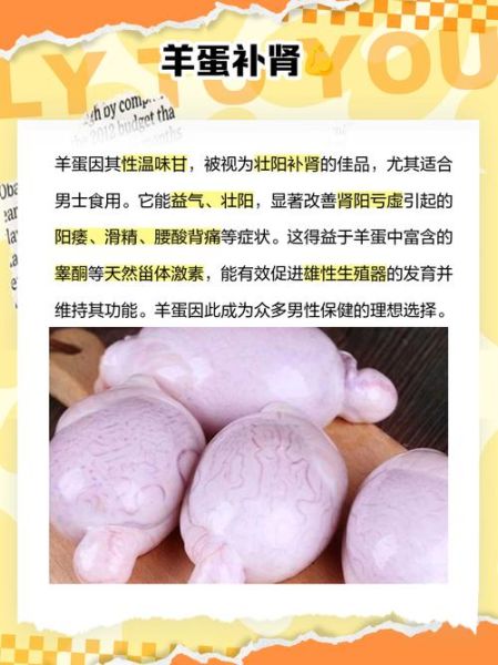 羊睾丸的功效与作用_羊睾丸怎么吃最补肾-第2张图片-山城妙识 羊睾丸的功效与作用_羊睾丸怎么吃最补肾-第2张图片-山城妙识