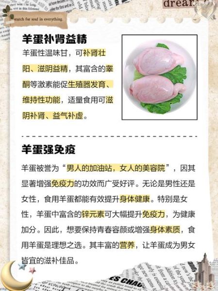 羊睾丸的功效与作用_羊睾丸怎么吃最补肾-第1张图片-山城妙识 羊睾丸的功效与作用_羊睾丸怎么吃最补肾-第1张图片-山城妙识