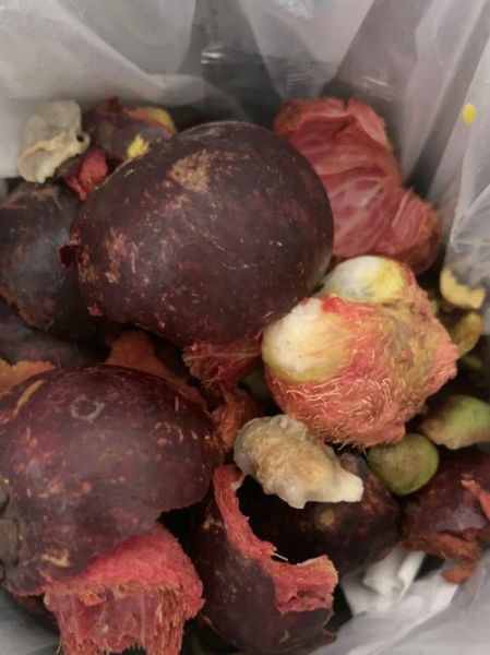 山竹透明的肉能吃吗_山竹果肉透明是不是坏了-第2张图片-山城妙识