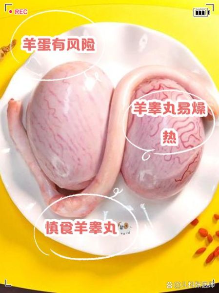 羊睾丸的功效与作用_羊睾丸怎么吃最补肾-第3张图片-山城妙识 羊睾丸的功效与作用_羊睾丸怎么吃最补肾-第3张图片-山城妙识