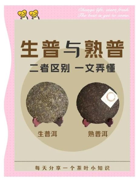 生普和熟普的区别_哪个更适合长期存放-第2张图片-山城妙识 生普和熟普的区别_哪个更适合长期存放-第2张图片-山城妙识