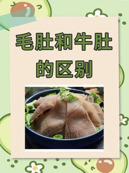 牛肚分几种_牛肚和毛肚有什么区别-第1张图片-山城妙识