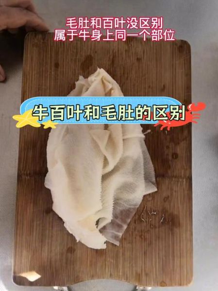 牛肚分几种_牛肚和毛肚有什么区别-第3张图片-山城妙识
