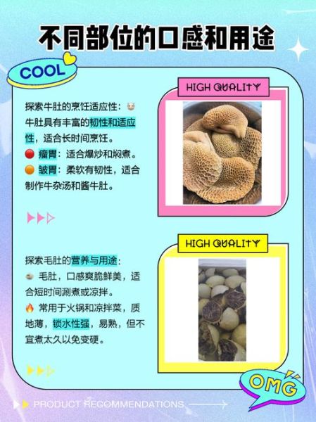 牛肚分几种_牛肚和毛肚有什么区别-第2张图片-山城妙识