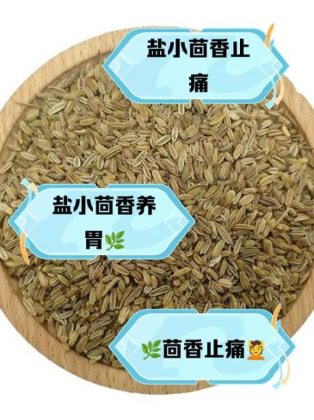 小茴香泡水喝的功效_小茴香泡水可以天天喝吗-第3张图片-山城妙识 小茴香泡水喝的功效_小茴香泡水可以天天喝吗-第3张图片-山城妙识