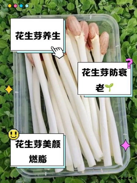 花生芽怎么发最快最好_花生芽快速发芽技巧-第3张图片-山城妙识 花生芽怎么发最快最好_花生芽快速发芽技巧-第3张图片-山城妙识