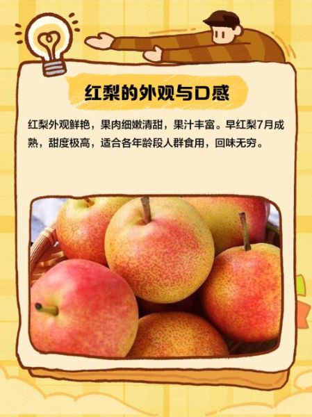 红梨图片价格_红梨图片多少钱一张-第3张图片-山城妙识