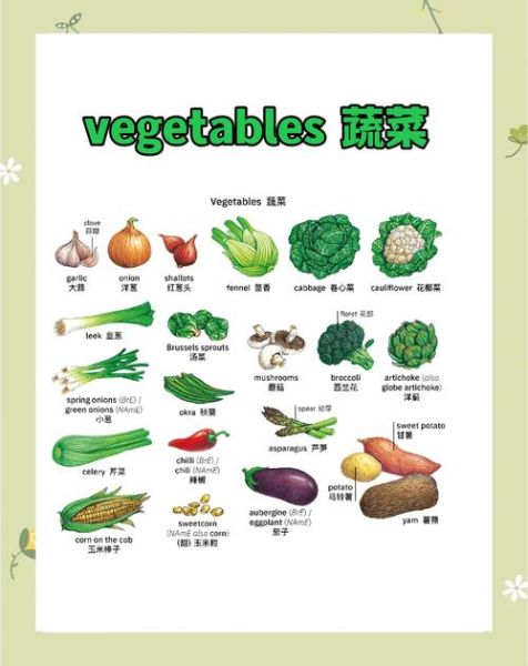 蔬菜英语发音在线试听_怎么读-第3张图片-山城妙识