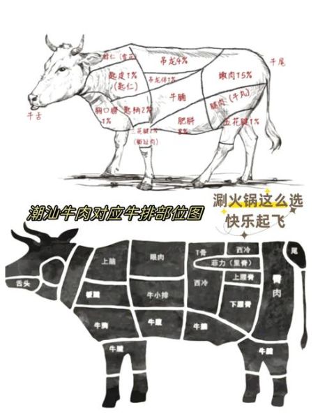 牛肉火锅怎么做_牛肉火锅用什么部位最好-第3张图片-山城妙识
