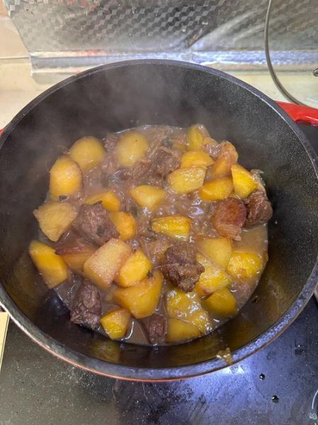 马肉炖萝卜怎么做好吃_马肉炖萝卜的家常做法-第2张图片-山城妙识