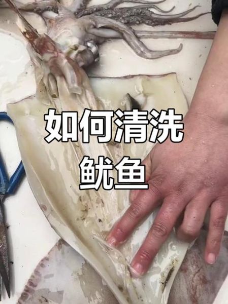 鱿鱼怎么处理干净_鱿鱼清洗内脏技巧-第1张图片-山城妙识
