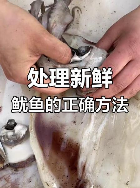 鱿鱼怎么处理干净_鱿鱼清洗内脏技巧-第3张图片-山城妙识
