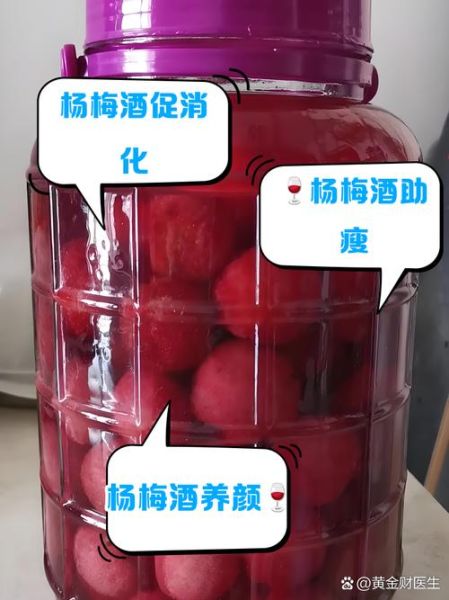 杨梅酒制作前杨梅怎么处理_杨梅泡酒要不要去核-第1张图片-山城妙识 杨梅酒制作前杨梅怎么处理_杨梅泡酒要不要去核-第1张图片-山城妙识