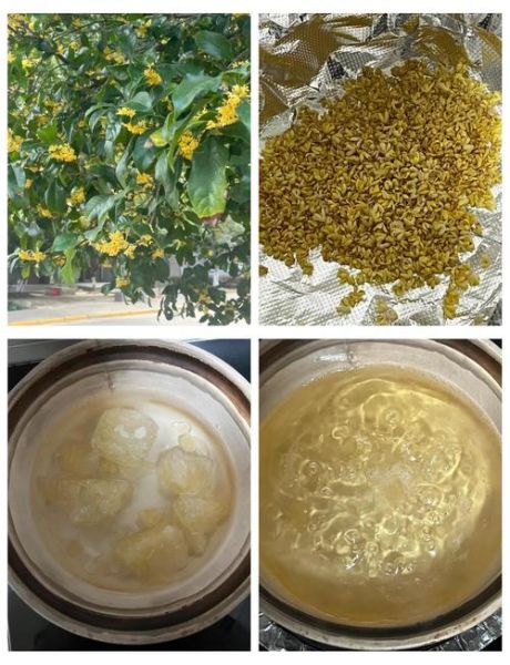 鲜桂花怎么做成干桂花_家庭自制干桂花方法-第2张图片-山城妙识