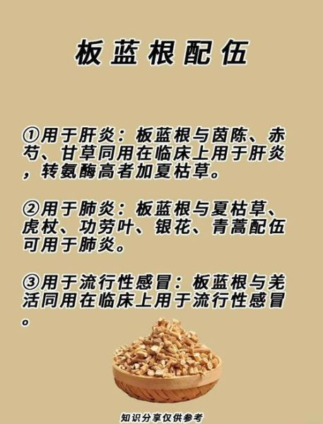 板蓝根喝多了对身体有害吗_板蓝根长期服用的副作用-第2张图片-山城妙识