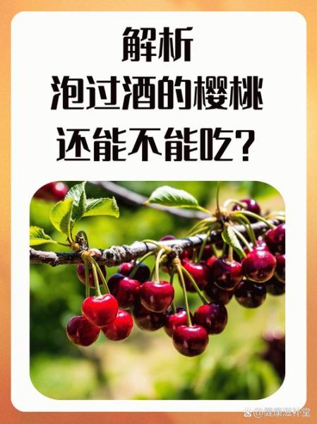 樱桃酒泡多久可以喝_樱桃酒泡多久口感最好-第2张图片-山城妙识