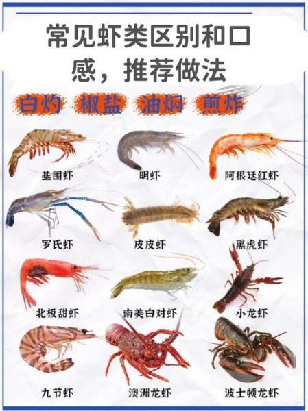 鸡尾虾和基围虾的区别图_哪个更好吃-第1张图片-山城妙识 鸡尾虾和基围虾的区别图_哪个更好吃-第1张图片-山城妙识