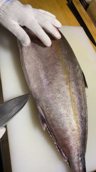 鲥鱼多刺怎么办_海棠网挑选技巧-第2张图片-山城妙识