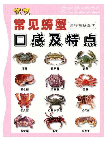 螃蟹种类大全图解_如何区分常见蟹类-第1张图片-山城妙识
