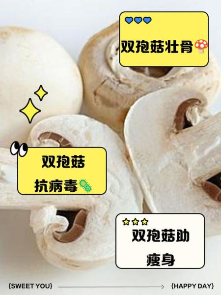 双孢菇的功效与作用_双孢菇怎么吃最营养-第1张图片-山城妙识 双孢菇的功效与作用_双孢菇怎么吃最营养-第1张图片-山城妙识