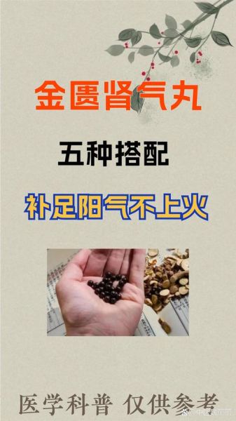 补肾吃什么东西效果最好中药_哪些中药最补肾-第1张图片-山城妙识