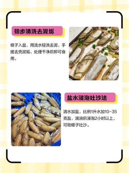 蛏子怎么清洗_蛏子家常做法大全-第1张图片-山城妙识