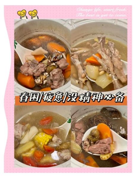 广东四味汤的做法_广东四味汤有什么功效-第1张图片-山城妙识