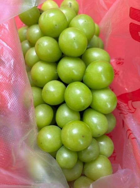 阳光玫瑰葡萄价格_阳光玫瑰葡萄怎么挑-第2张图片-山城妙识