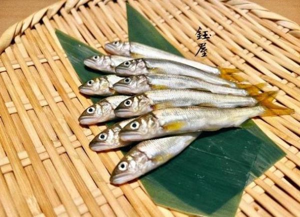 日本香鱼图片_如何分辨真假日本香鱼-第2张图片-山城妙识 日本香鱼图片_如何分辨真假日本香鱼-第2张图片-山城妙识