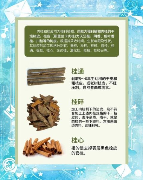肉桂和桂皮的区别_哪个更适合炖肉-第3张图片-山城妙识 肉桂和桂皮的区别_哪个更适合炖肉-第3张图片-山城妙识