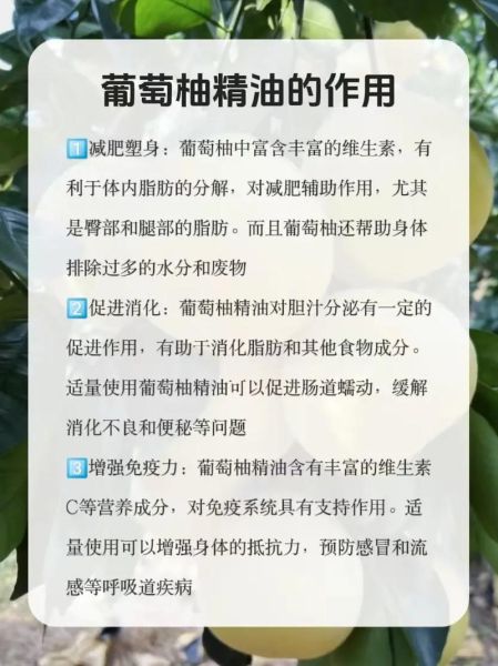 葡萄柚精油的功效与作用_怎么用效果最好-第1张图片-山城妙识