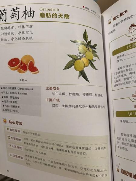 葡萄柚精油的功效与作用_怎么用效果最好-第2张图片-山城妙识
