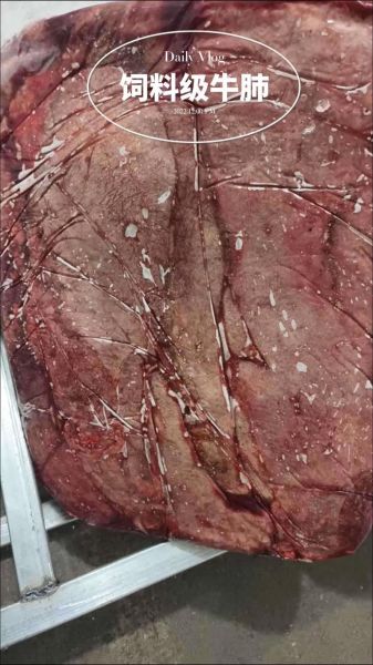 牛肺结核病症状_牛肺结核病能治好吗-第2张图片-山城妙识