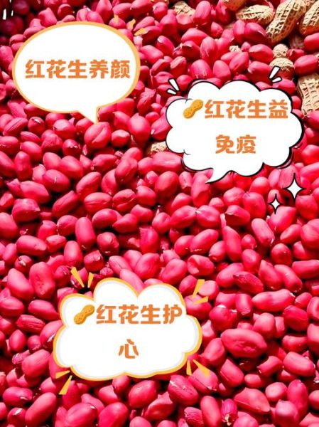 红皮花生的功效与作用_红皮花生怎么吃最补血-第2张图片-山城妙识