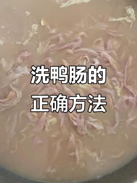 鸭肠怎么处理干净_鸭肠清洗去腥技巧-第2张图片-山城妙识