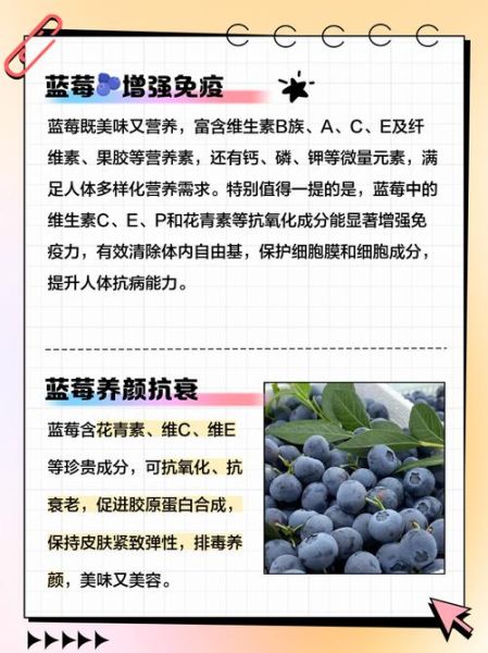 蓝莓对女生的功效与作用_女生吃蓝莓有哪些好处-第2张图片-山城妙识 蓝莓对女生的功效与作用_女生吃蓝莓有哪些好处-第2张图片-山城妙识